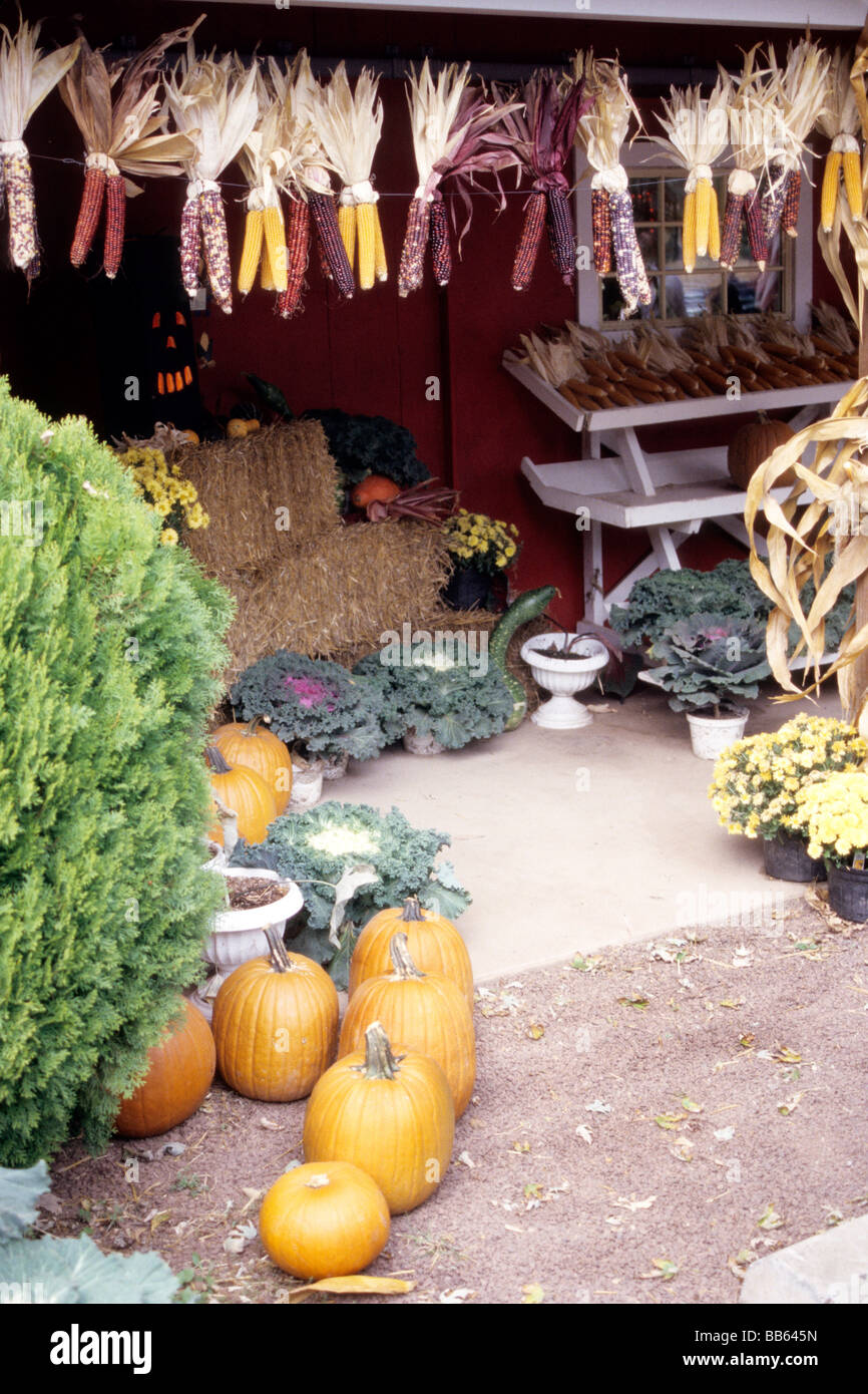 Indian farm crop hi-res stock photography and images - Alamy