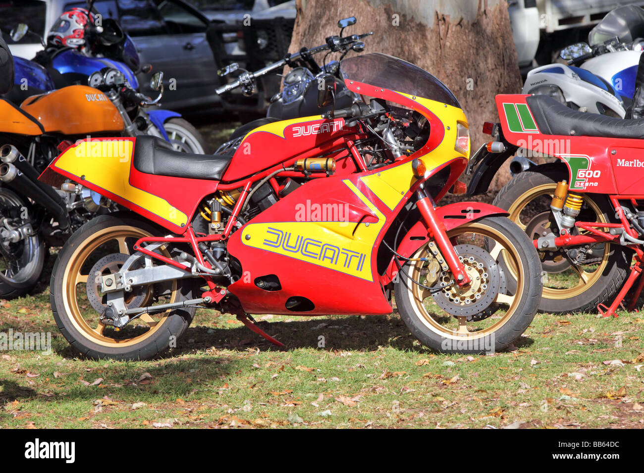 Ducati motorcycle owners meet Stock Photo - Alamy