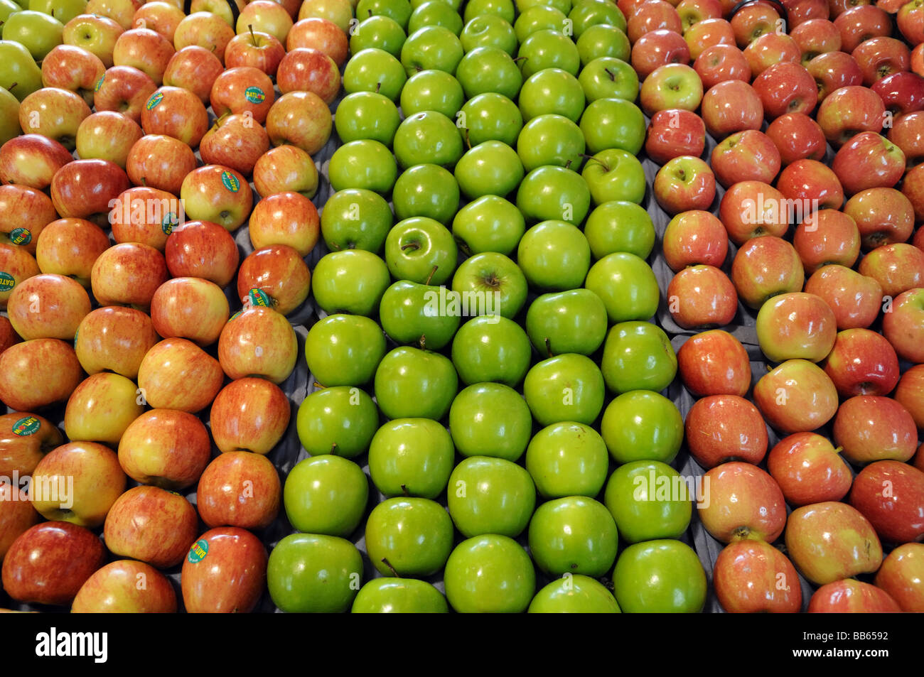 Beautiful symmetrical display of red and green eating apples Queen ...