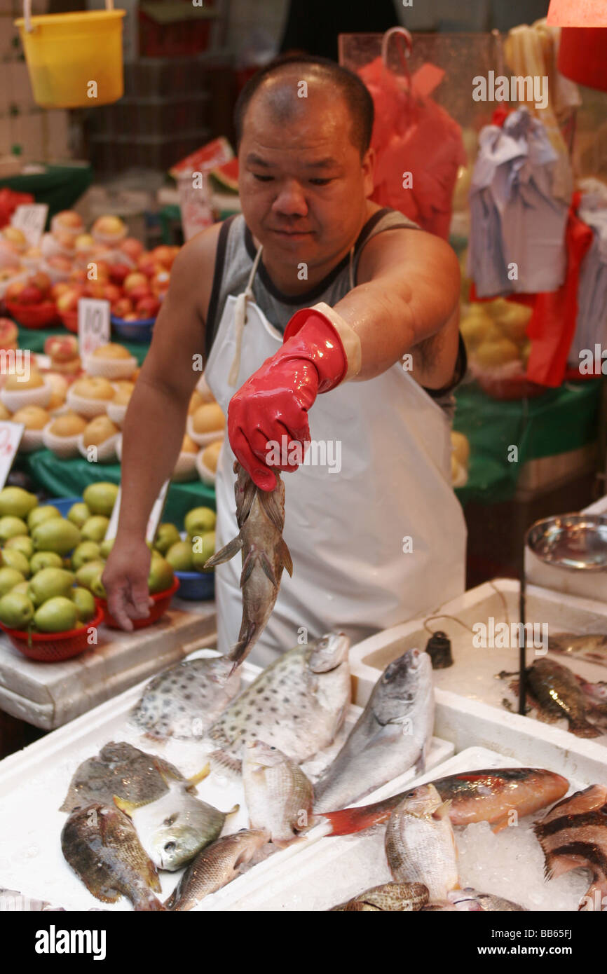 A man sells fresh fish in a market stall in one of the many markets on ...