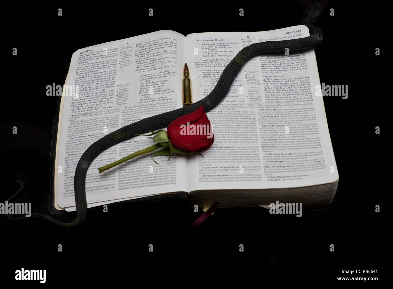 In the beginning was the word - the truth, or was it? Seeking the ...