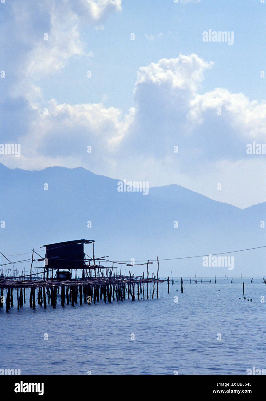 Vietnam fish farm hi-res stock photography and images - Alamy