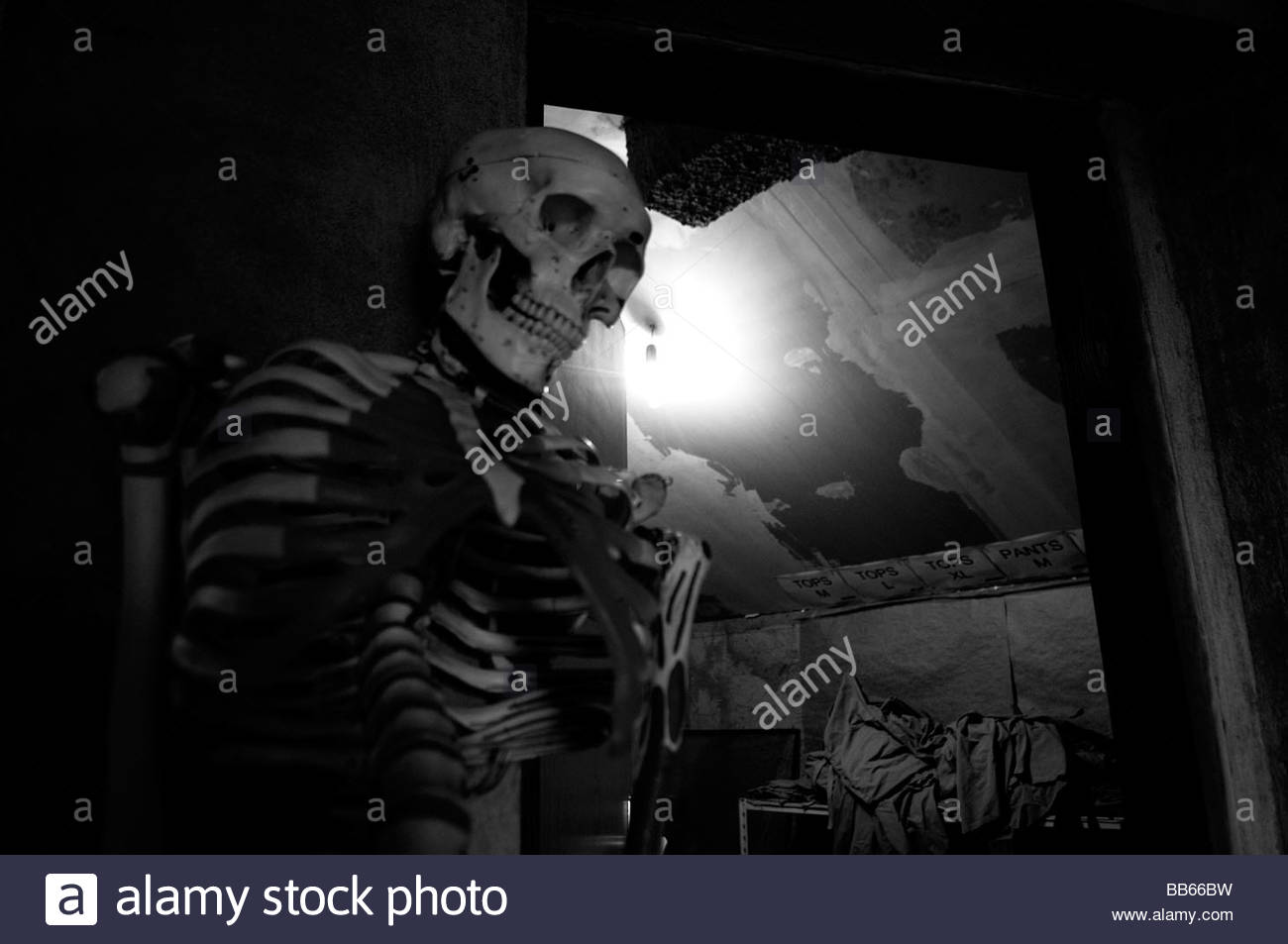 Skeleton Stock Photos & Skeleton Stock Images - Alamy