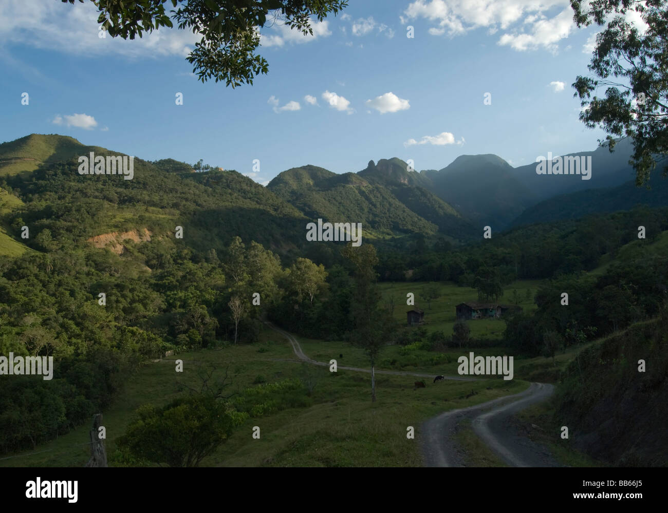 Muller brazil hi-res stock photography and images - Alamy