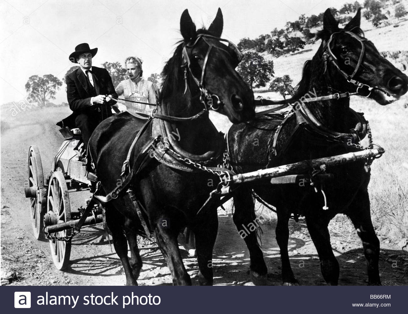 Fred Noon Stock Photos & Fred Noon Stock Images - Alamy