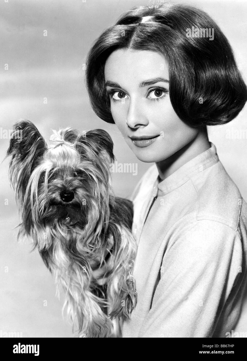 British actress 1950s hi-res stock photography and images - Alamy