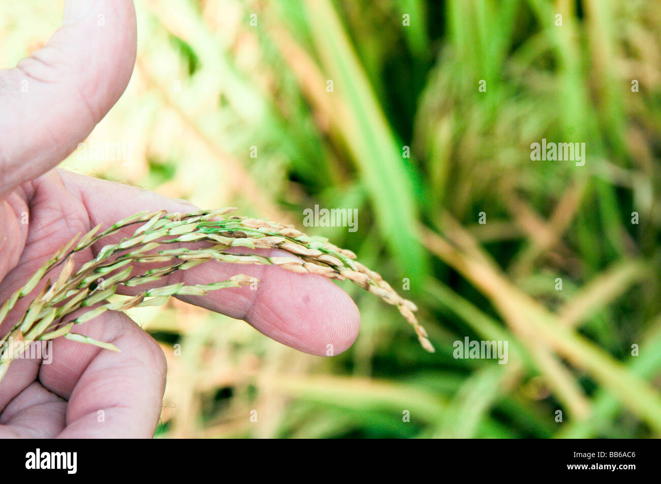 Guilin tour hi-res stock photography and images - Alamy