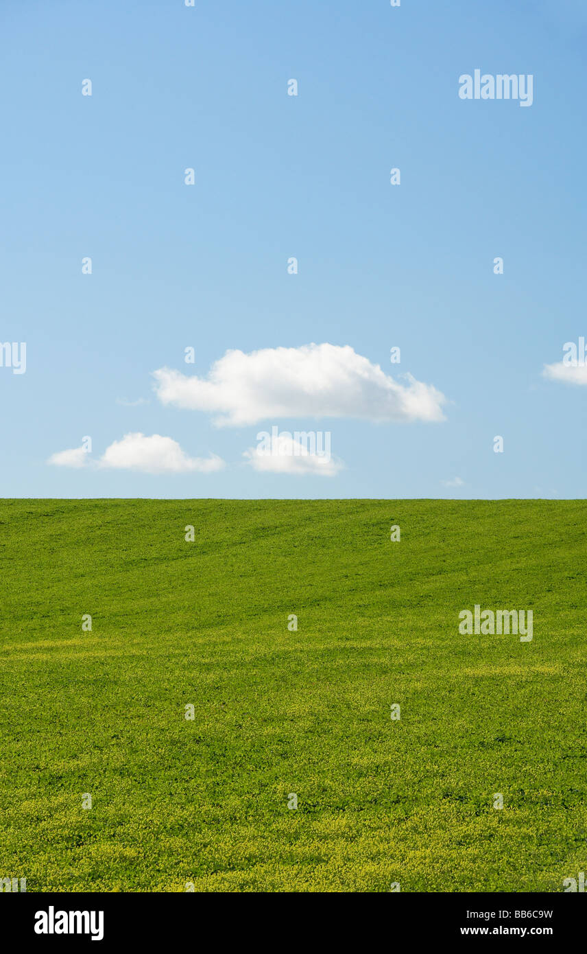 Farm Field With Blue Sky Stock Photo - Alamy