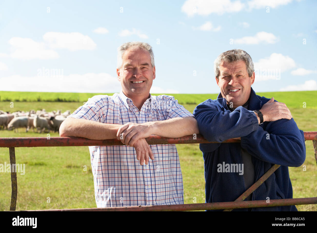 Farm Worker With Flock Of Sheep Stock Photo - Alamy