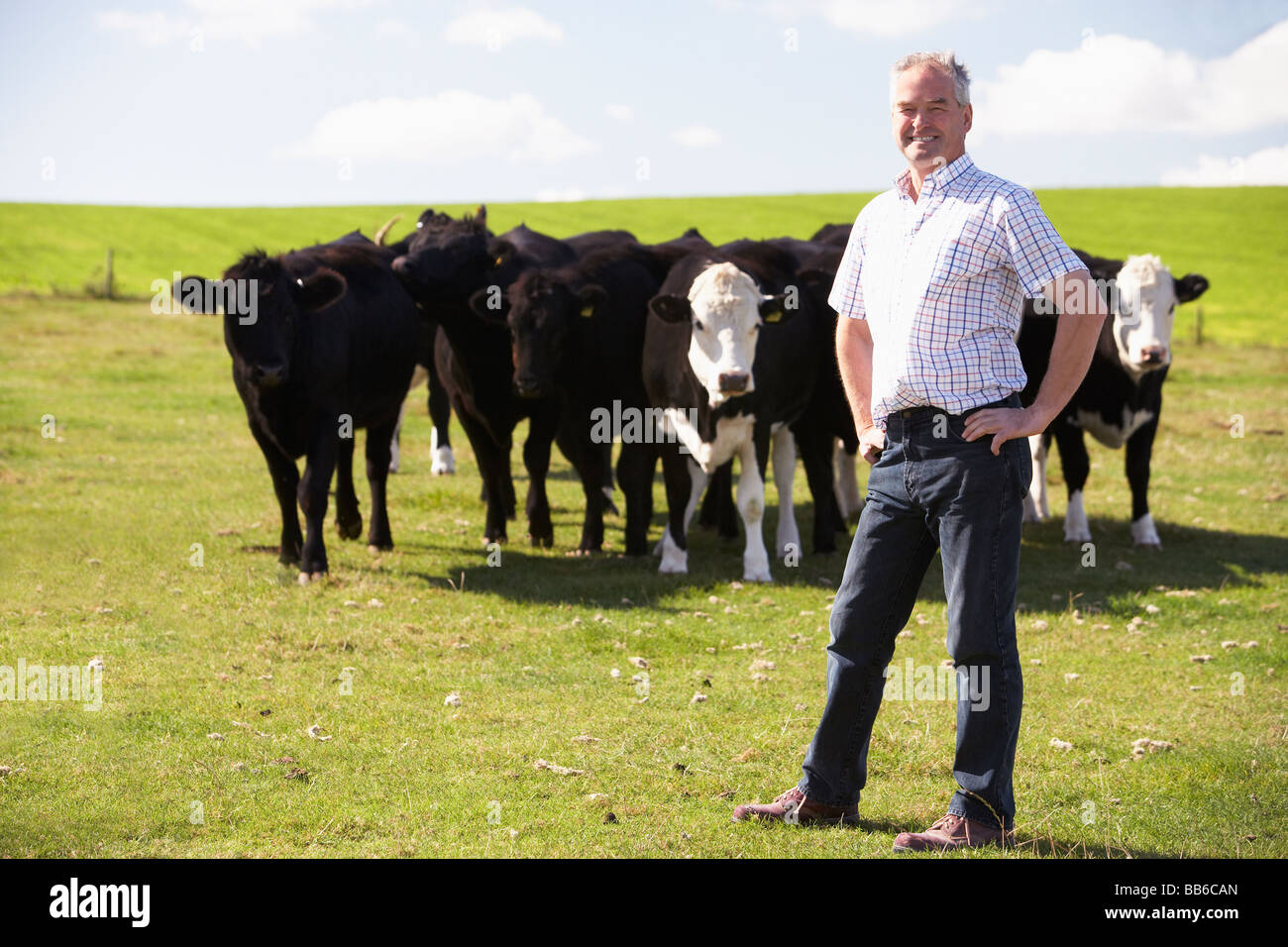 Farm Worker With Herd Of Cows Stock Photo - Alamy