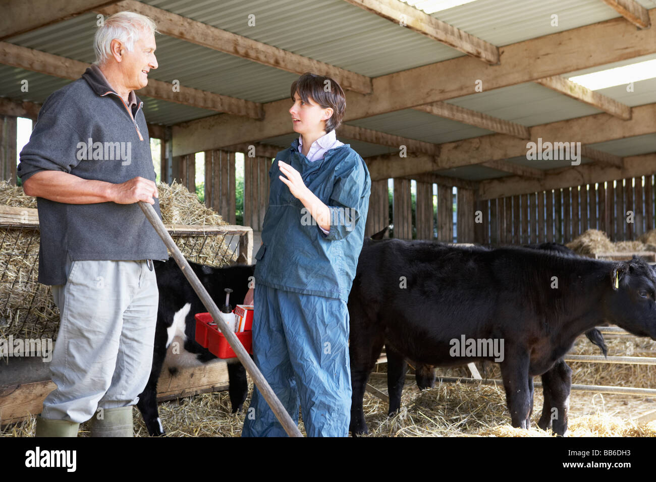 Farmer Having Discussion With Vet Stock Photo - Alamy