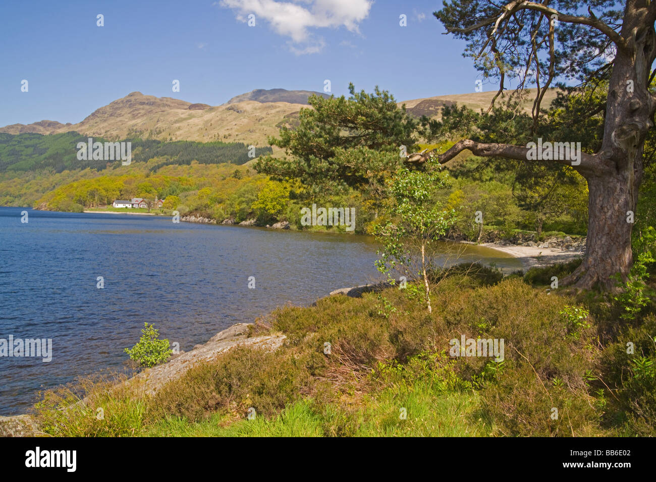 Rowardennan hi-res stock photography and images - Alamy