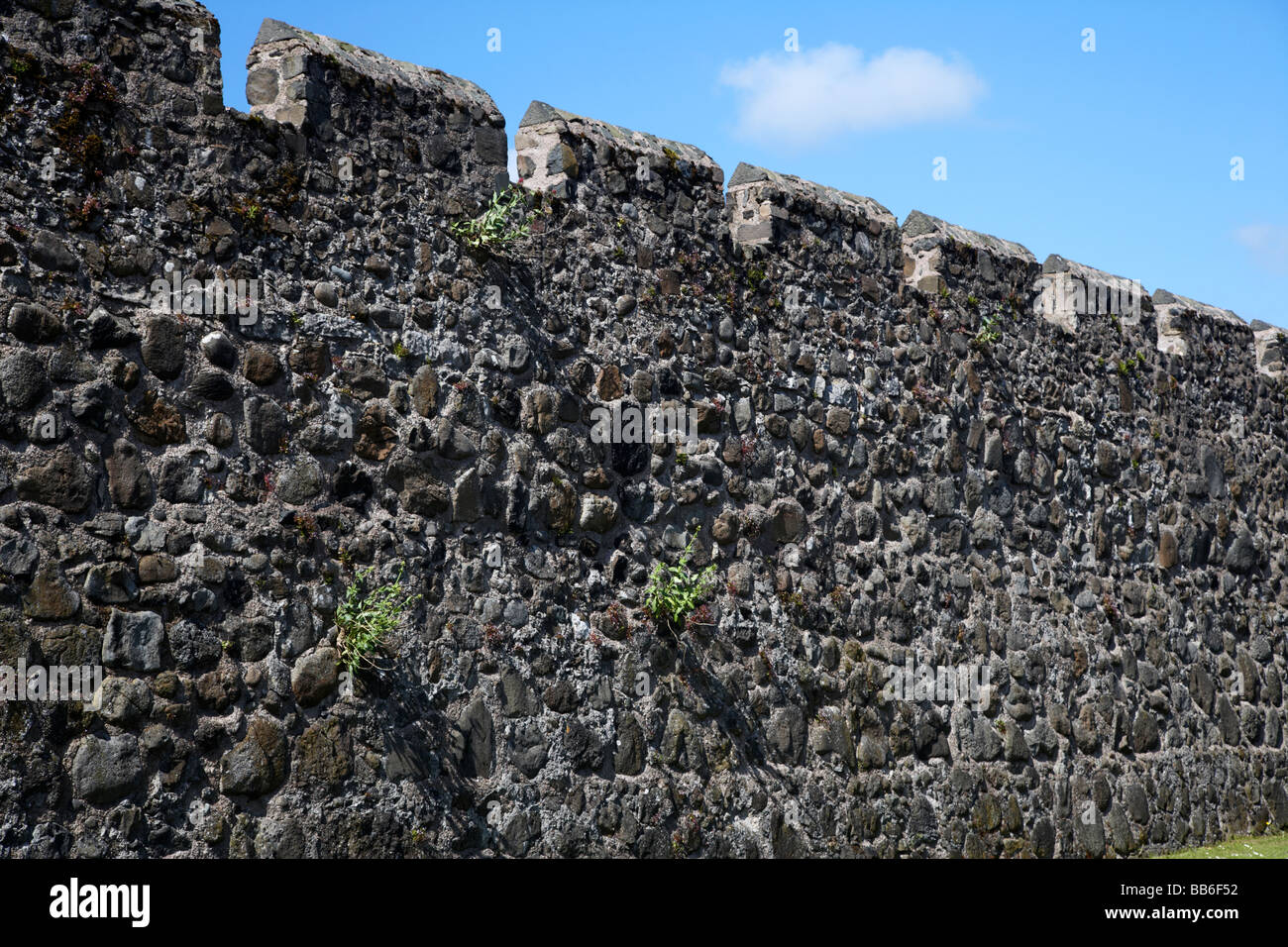 remaining section of the old medieval town walls of Carrickfergus ...