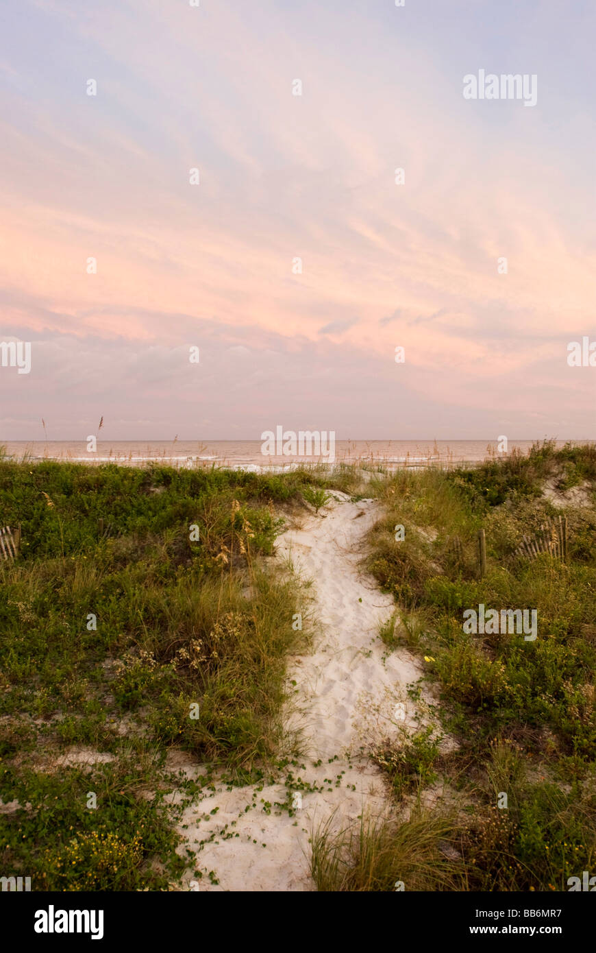 Foot path to the ocean beach hi-res stock photography and images - Alamy