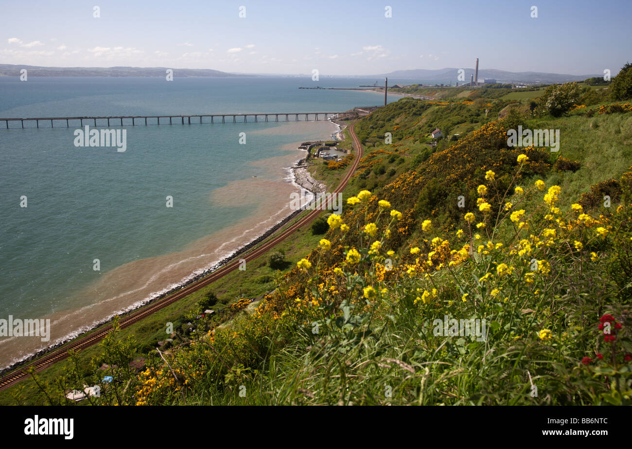 Belfast Lough High Resolution Stock Photography and Images - Alamy
