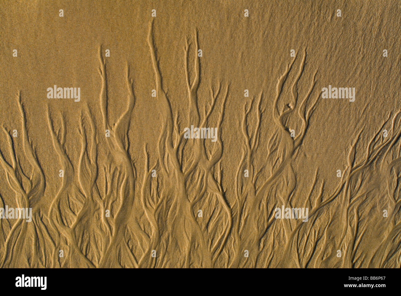 Water made patterns in beach sand at Kenton on Sea. Eastern Cape ...