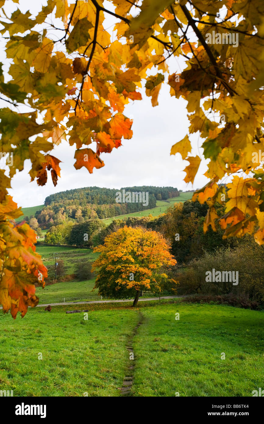 Birchover peak district hi-res stock photography and images - Alamy