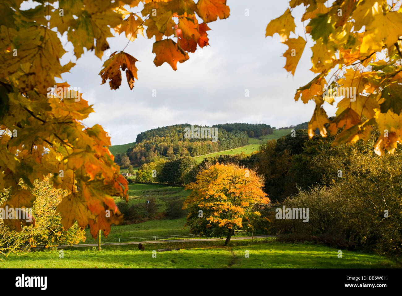 Birchover peak district hi-res stock photography and images - Alamy