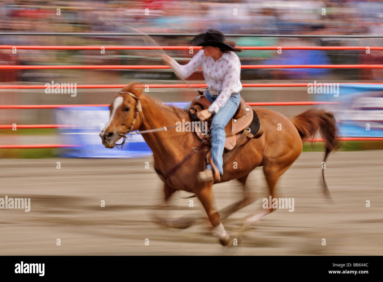 Barrel racer hi-res stock photography and images - Alamy