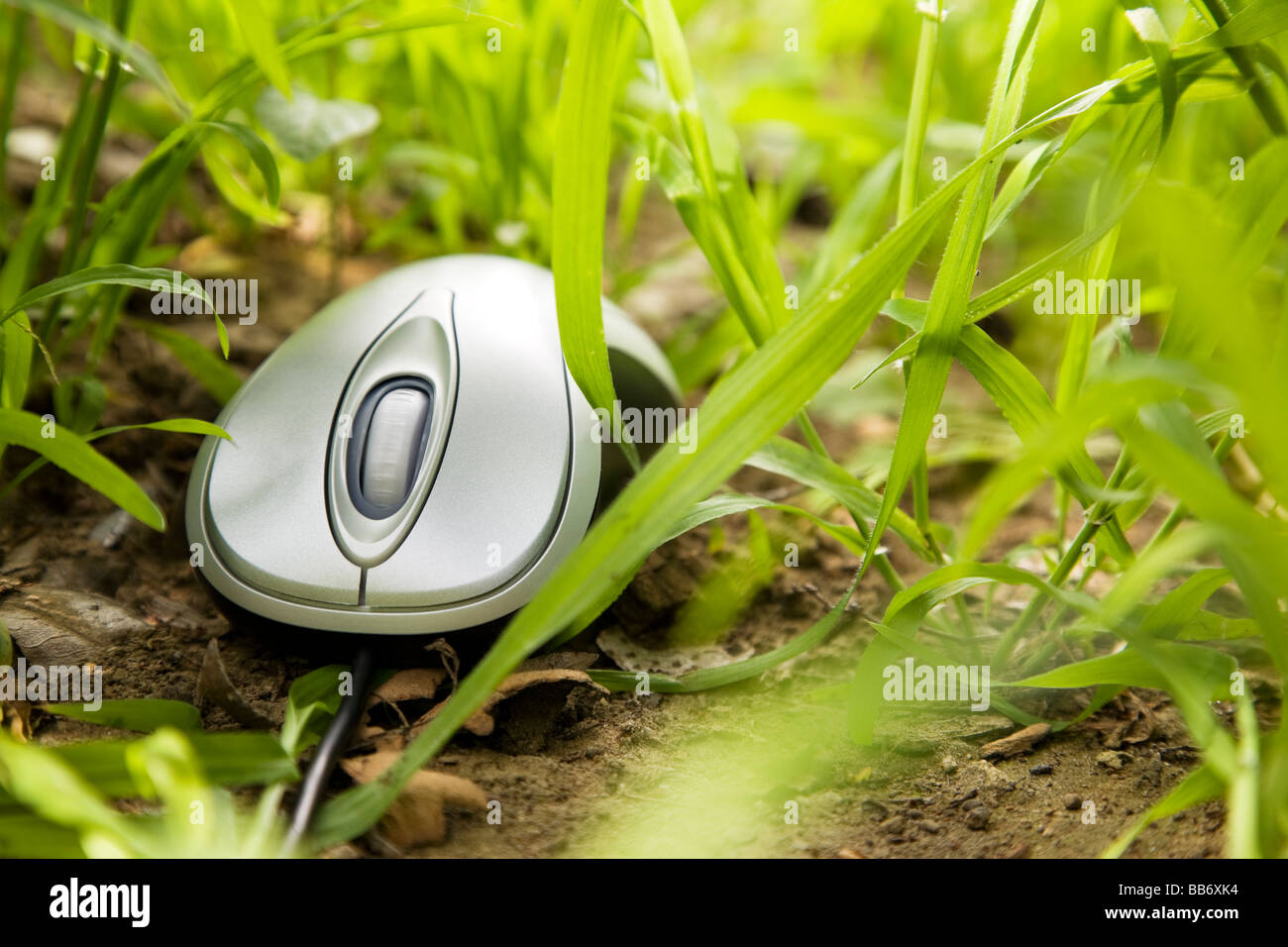 Computer mouse outside in the grass Stock Photo - Alamy