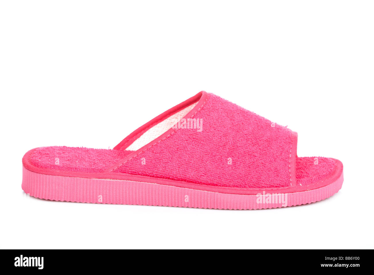 Lady pink slipper isolated on white background Stock Photo - Alamy