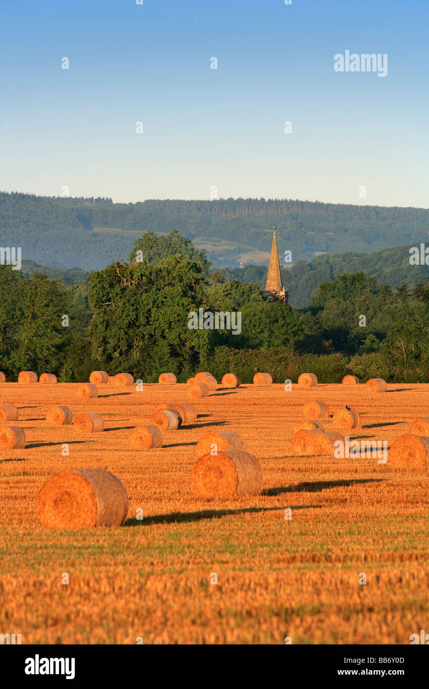 Brockham surrey hi-res stock photography and images - Alamy