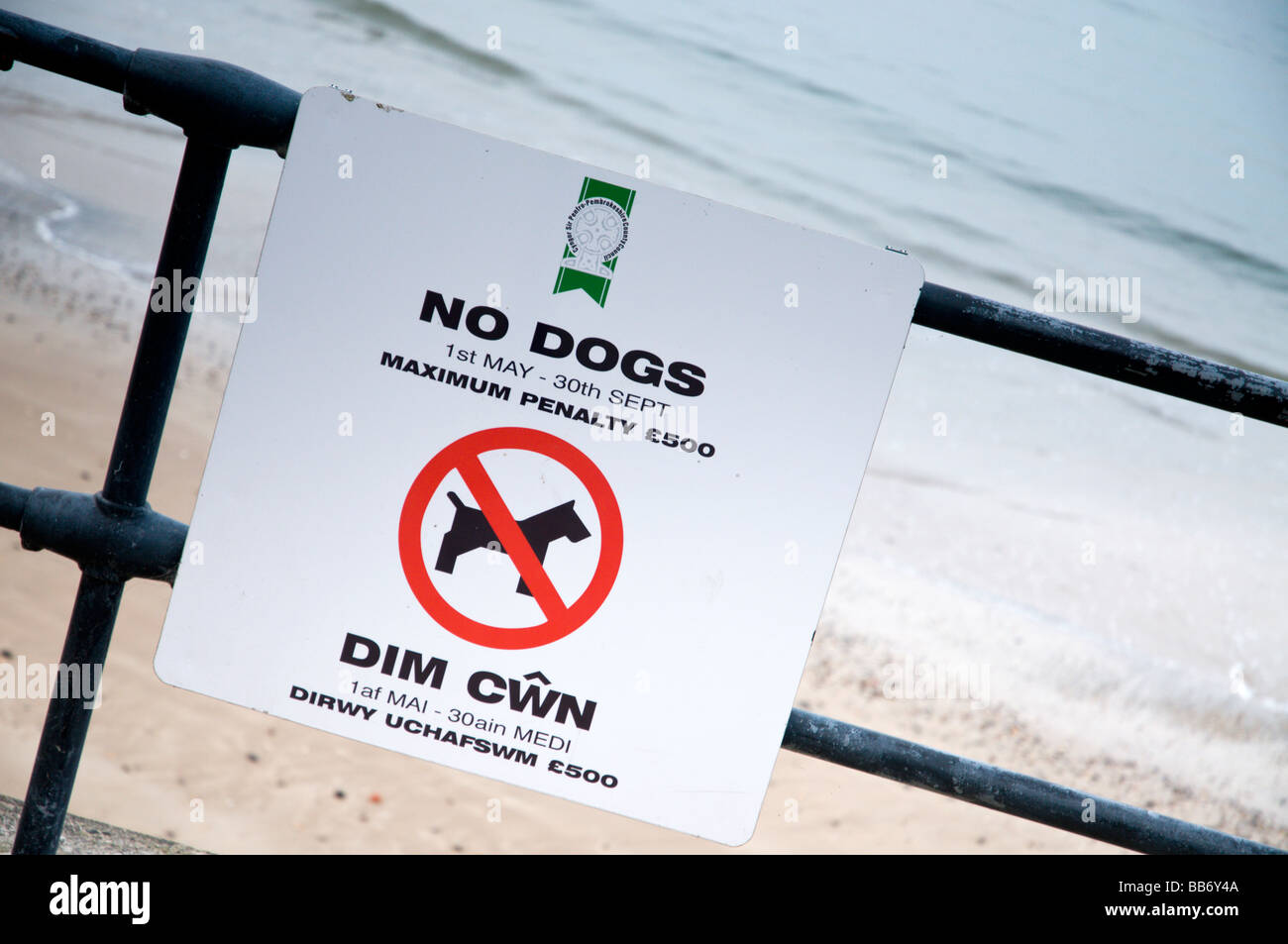 No dogs on the beach sign at Summer Tourist Hotspot Tenby west wales ...