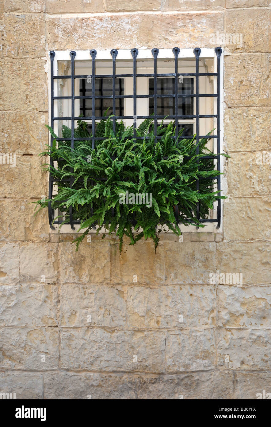 Old window iron bars hi-res stock photography and images - Alamy