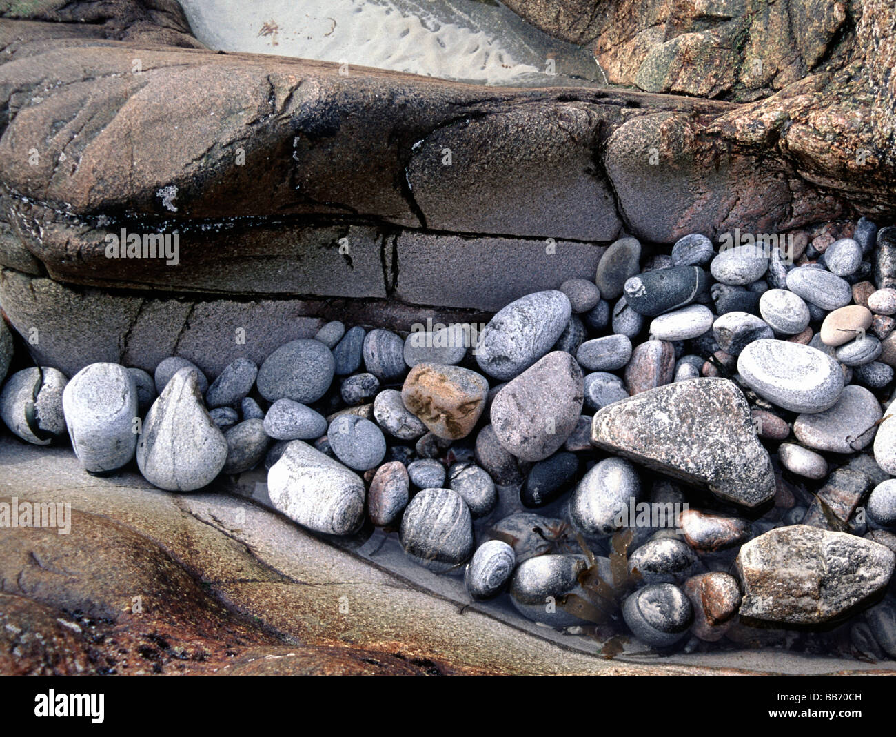Large granite beach pebbles in Scotland Stock Photo - Alamy