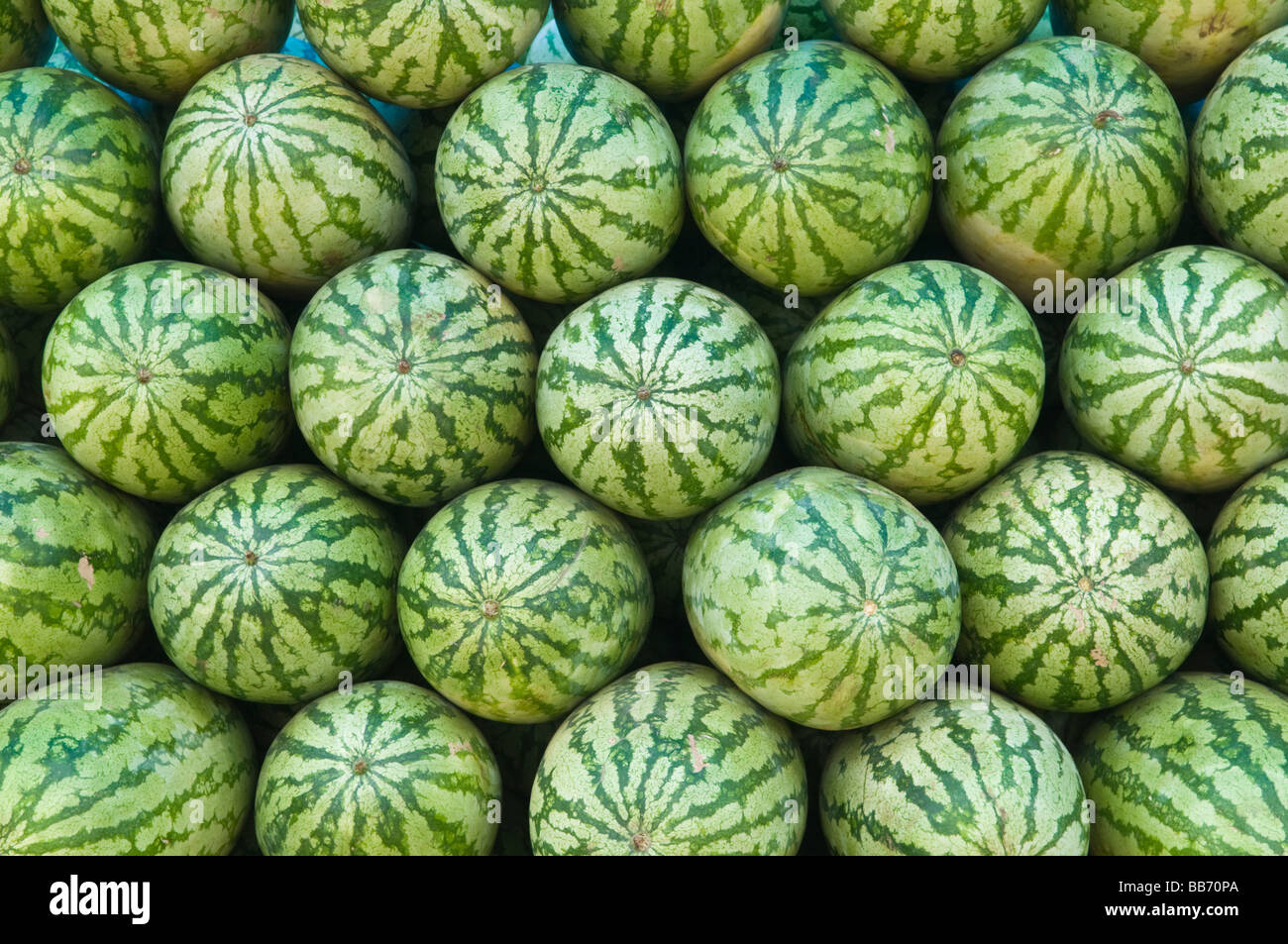Watermelons Mysore Karnataka India Stock Photo - Alamy