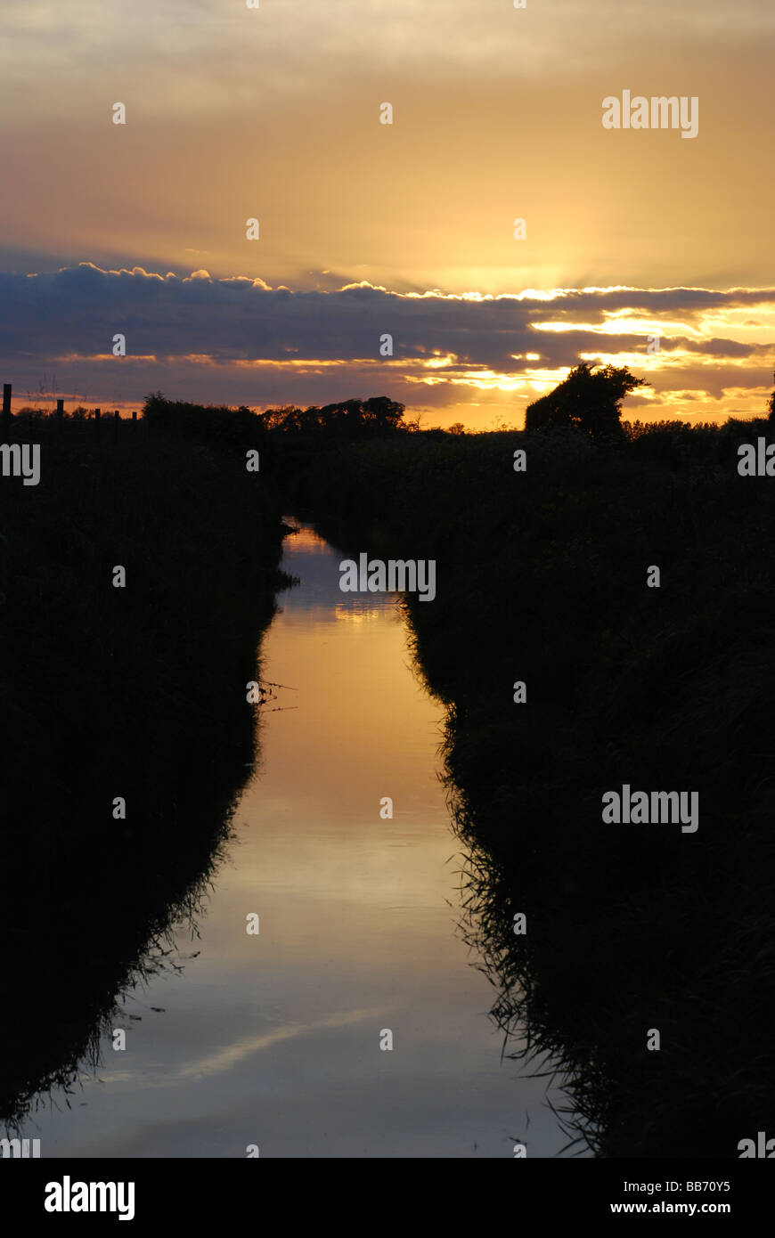 Reflections in a stream at sunset Stock Photo - Alamy
