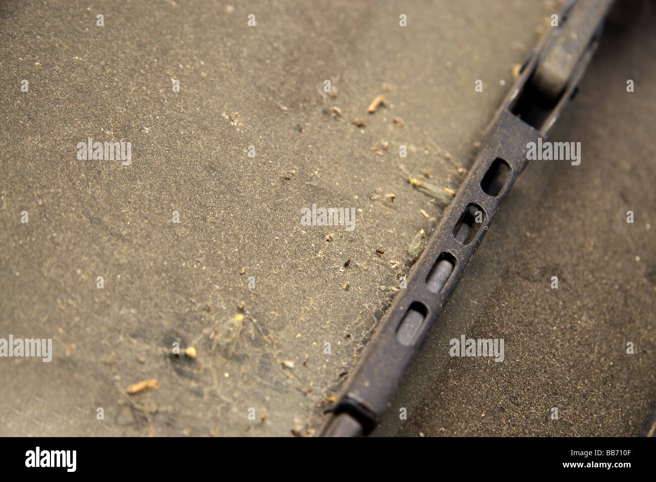 Dirty car windshield caked with dirt Stock Photo - Alamy