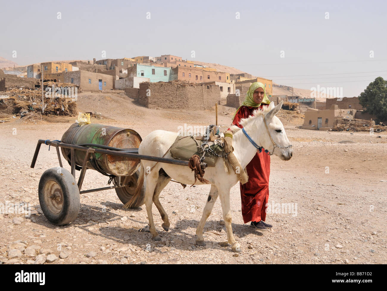Egypt people donkey High Resolution Stock Photography and Images - Alamy