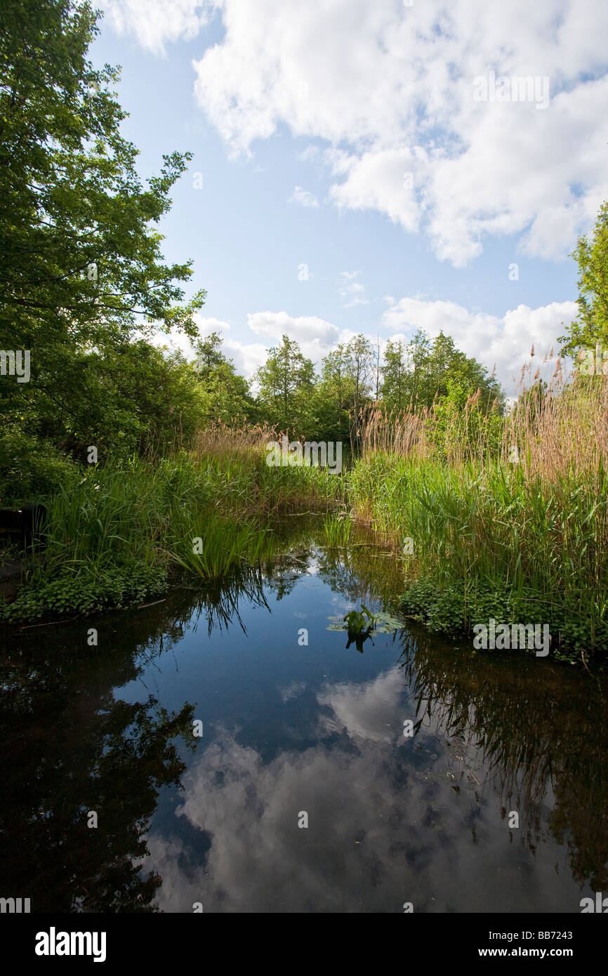 Camley Street Nature Reserve, Kings Cross, Camden, London, England, UK ...