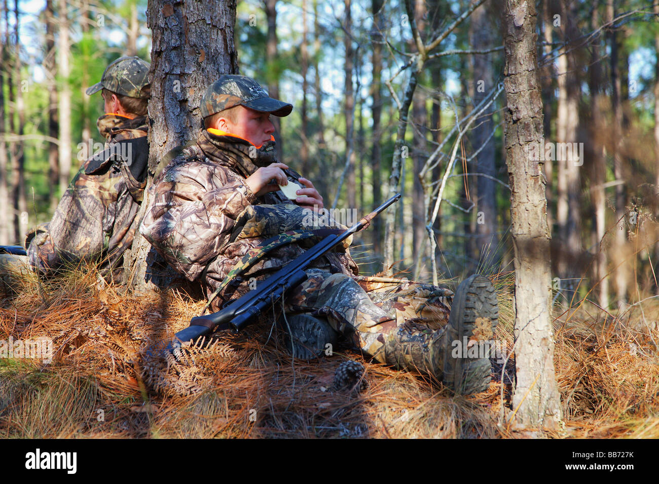 HUNTER S RESTING AGAINST A PINE TREE HAVING A SNACK LISTENING WATCHING ...