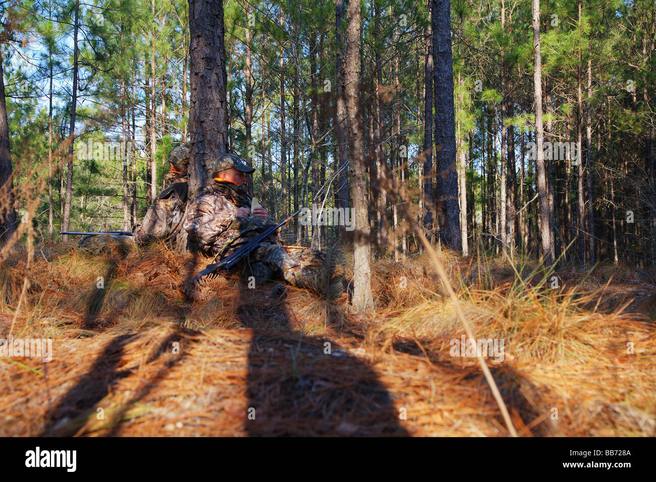 HUNTERS RESTING AGAINST A PINE TREE HAVING A SNACK LISTENING WATCHING ...