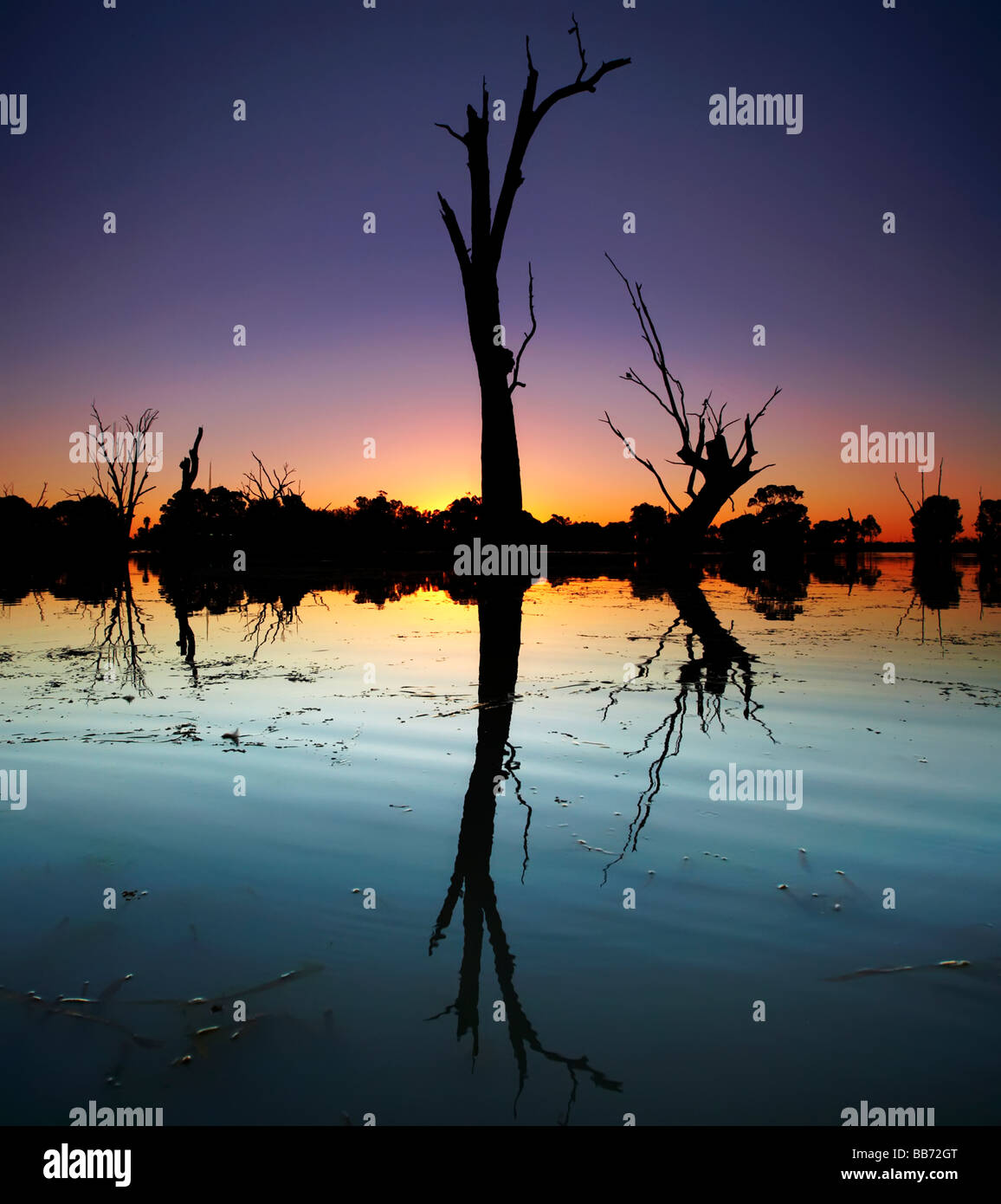 Murray River Lagoon Renmark Riverland South Australia Stock Photo - Alamy