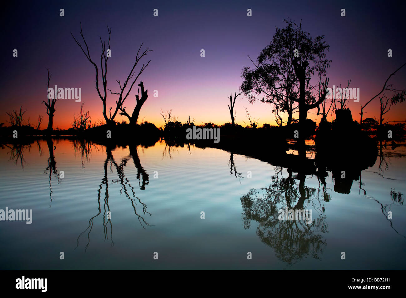 Murray River Lagoon Renmark Riverland South Australia Stock Photo - Alamy