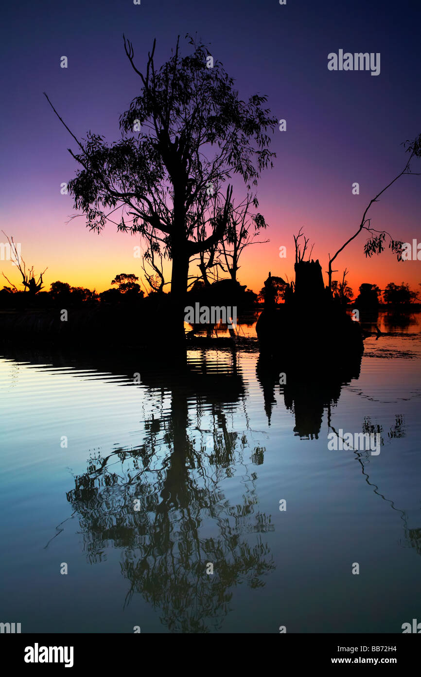 Murray River Lagoon Renmark Riverland South Australia Stock Photo - Alamy