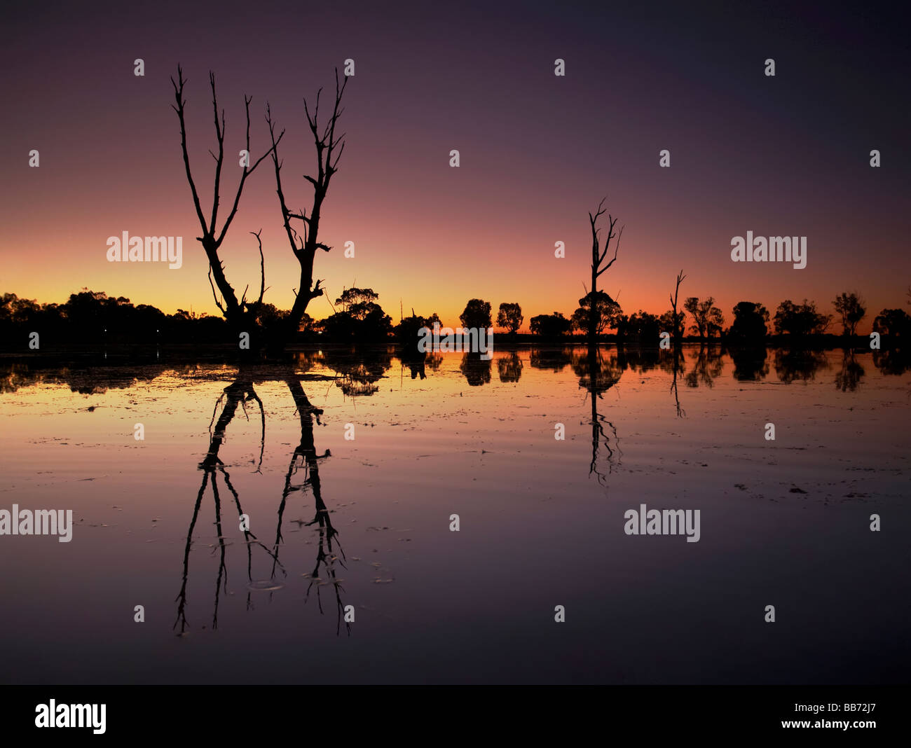 Murray River Lagoon Renmark Riverland South Australia Stock Photo - Alamy