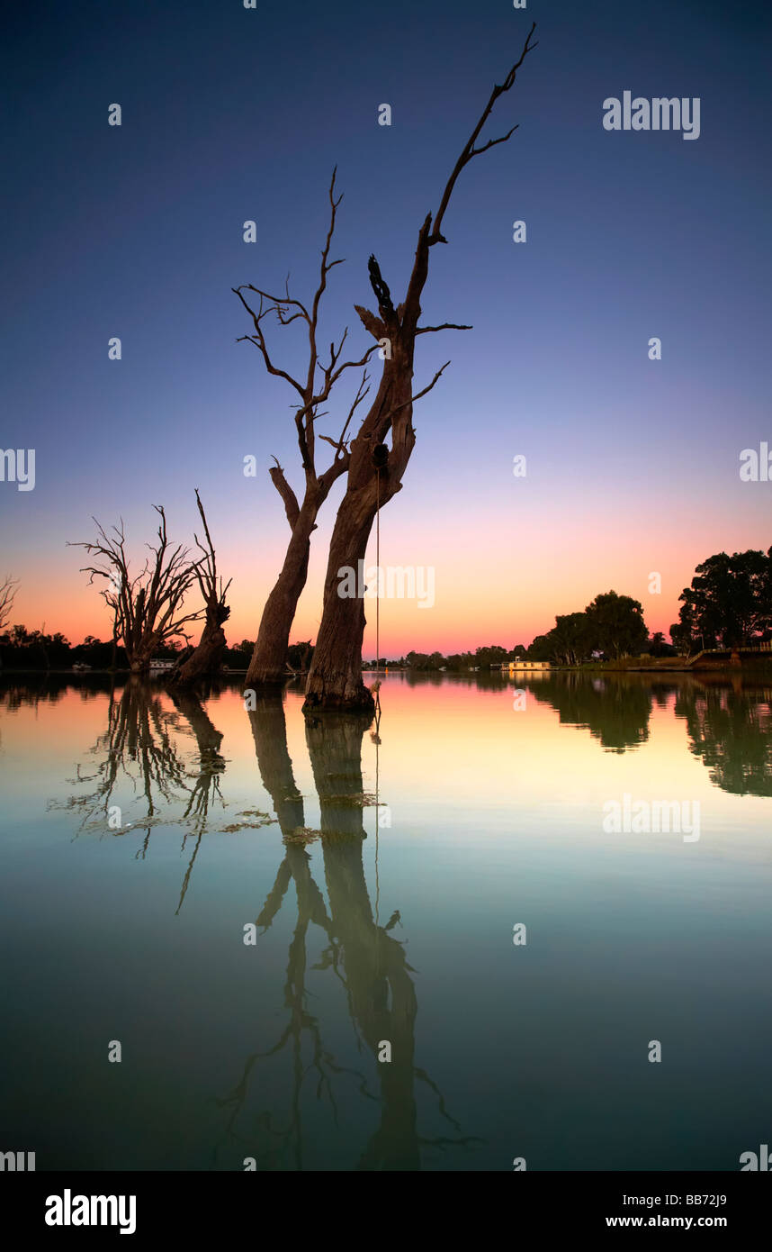 Murray River Lagoon Renmark Riverland South Australia Stock Photo - Alamy