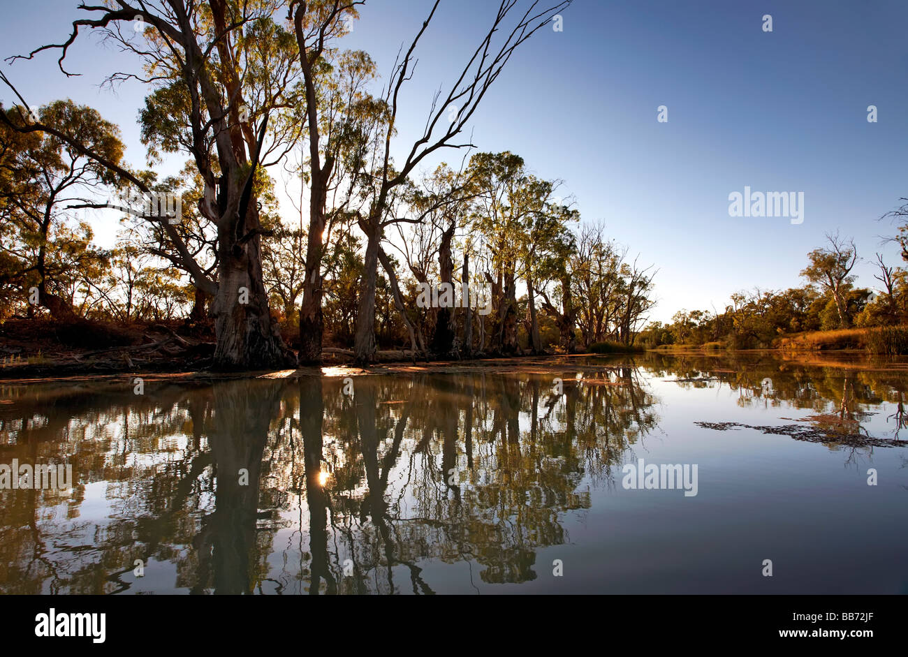 Murray River Lagoon Renmark Riverland South Australia Stock Photo - Alamy