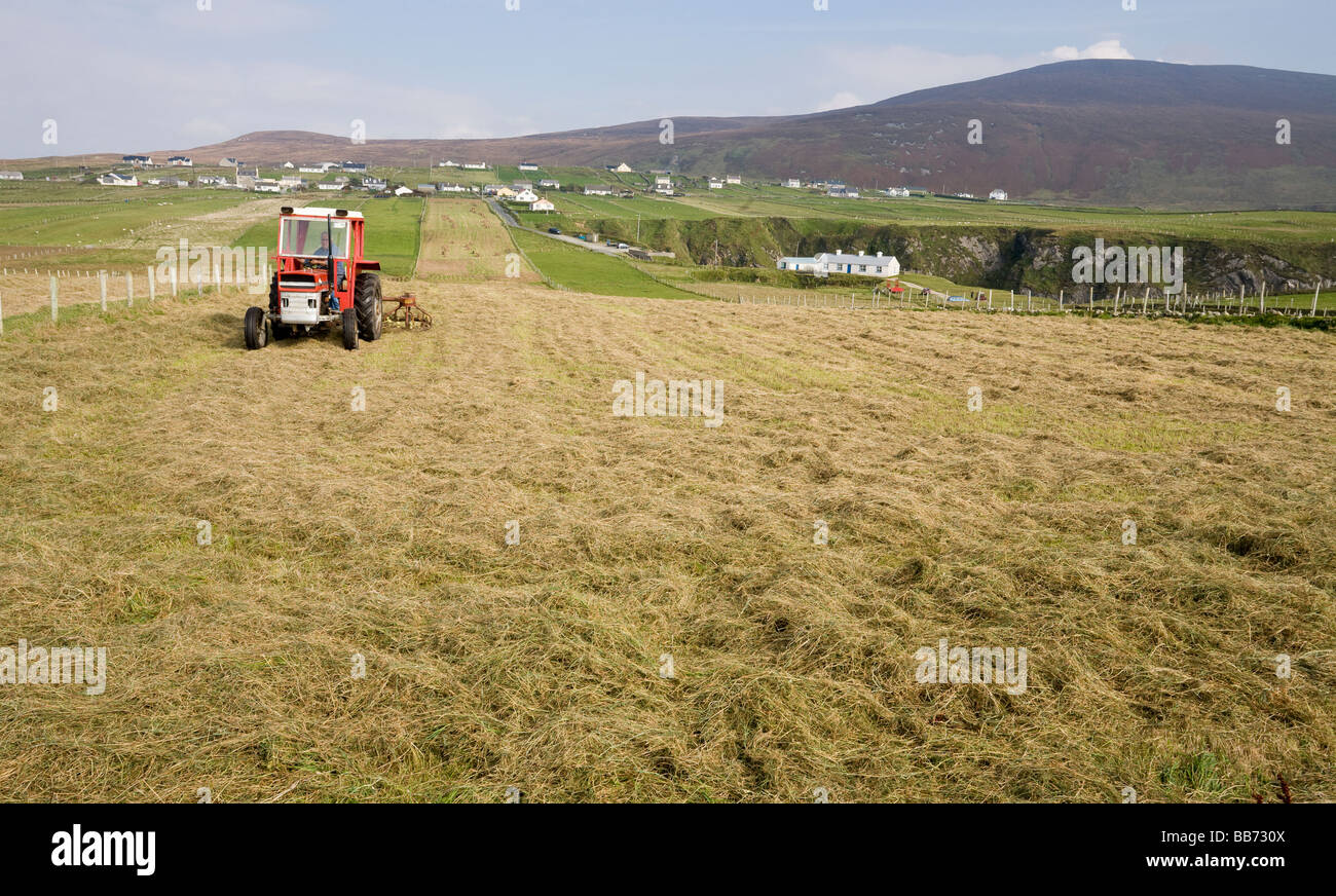 Turning the Hay. A farmer in his tractor turns a long field of hay ...