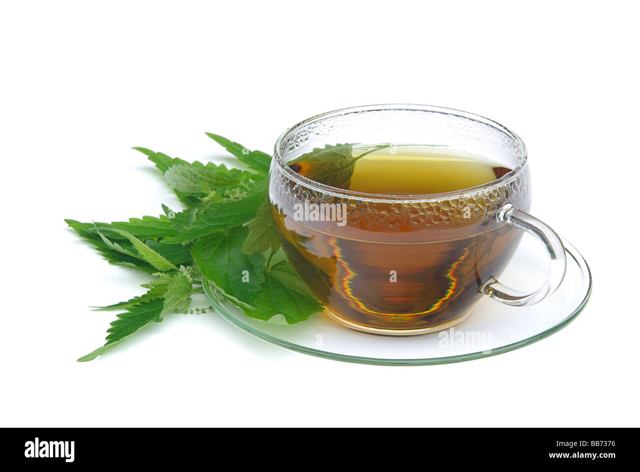 Brennesselblatt Cut Out Stock Images & Pictures - Alamy