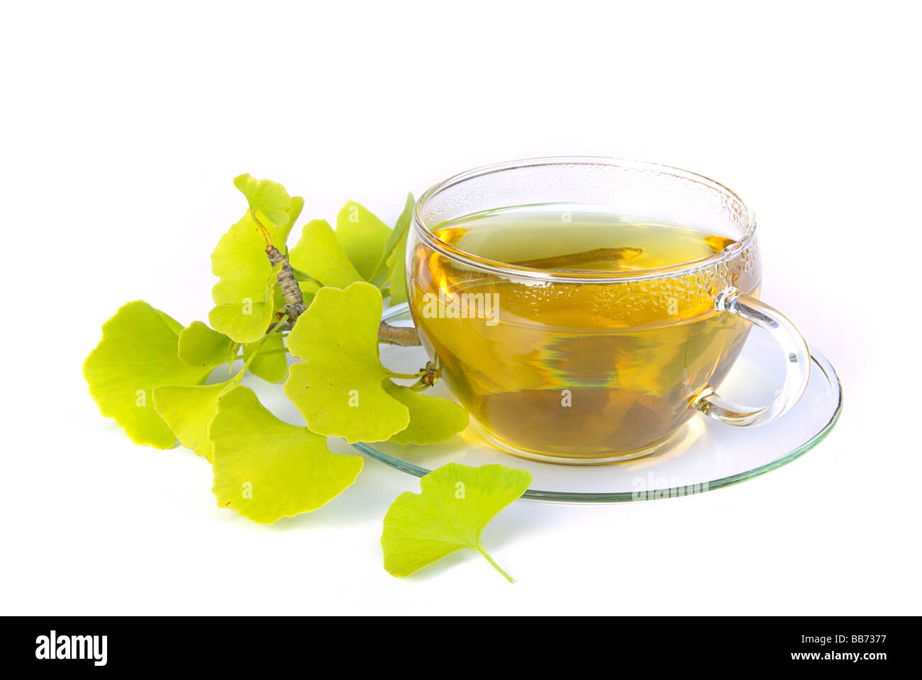 Tee Ginkgo tea ginkgo 01 Stock Photo - Alamy