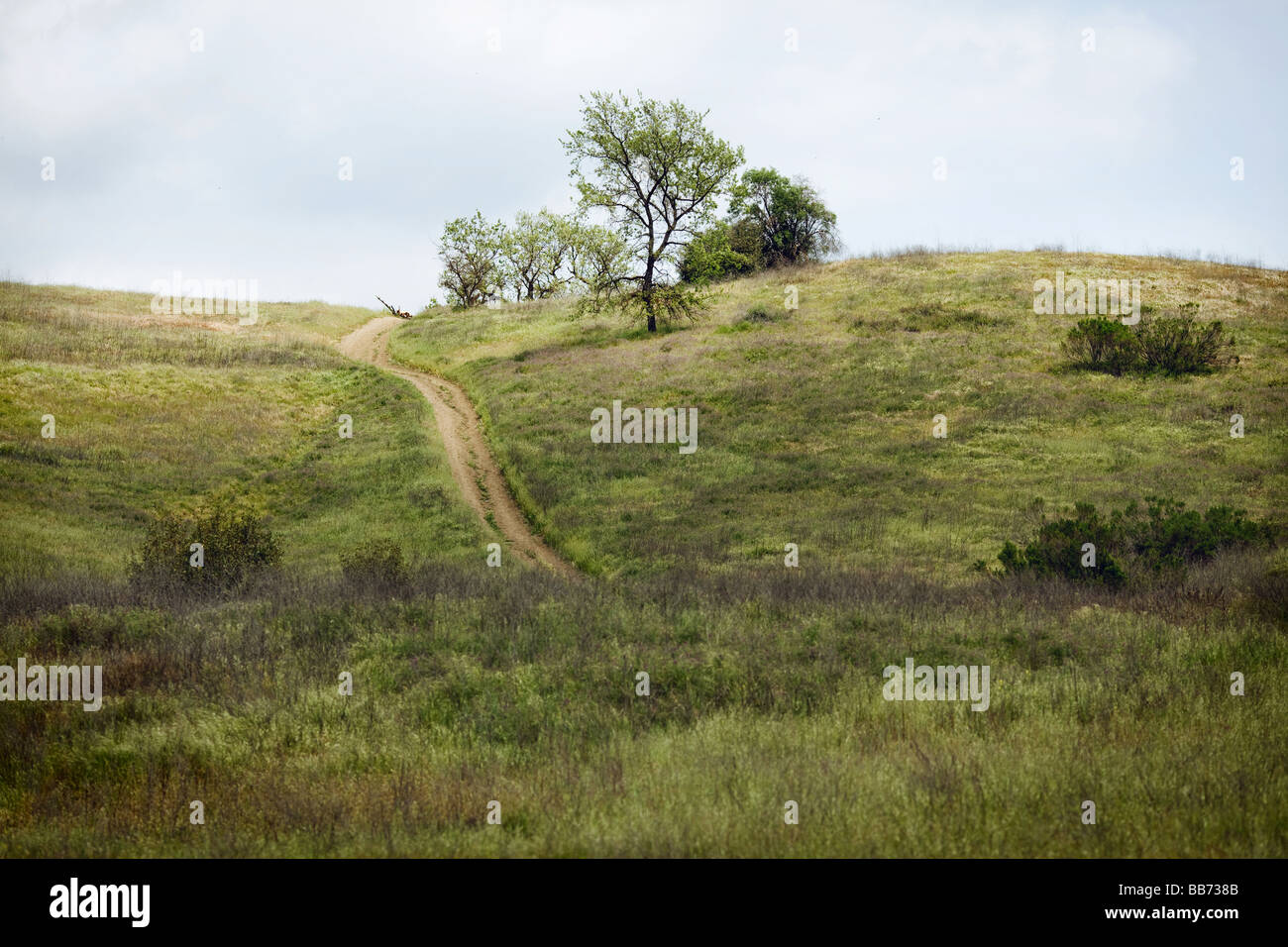 Open Green Field with Path and Tree Malibu Creek State Park Calabasas ...