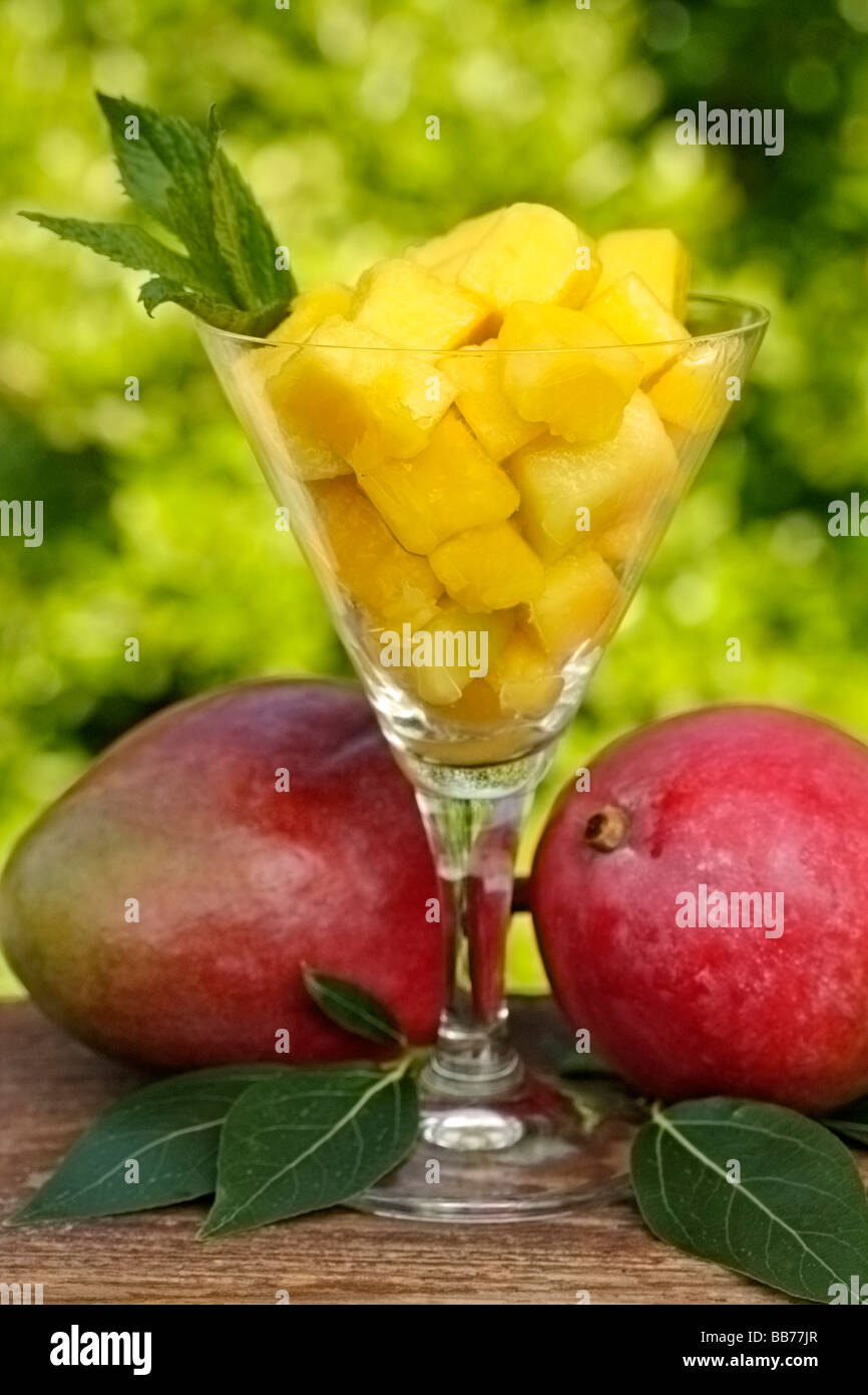 Mango leaf colour hi-res stock photography and images - Alamy
