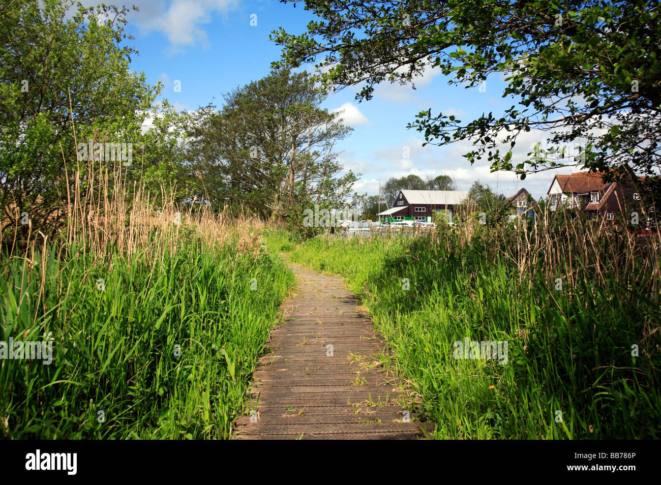 Boardwalk to the Bure Marshes and Cockshoot Broad by the River Bure at ...