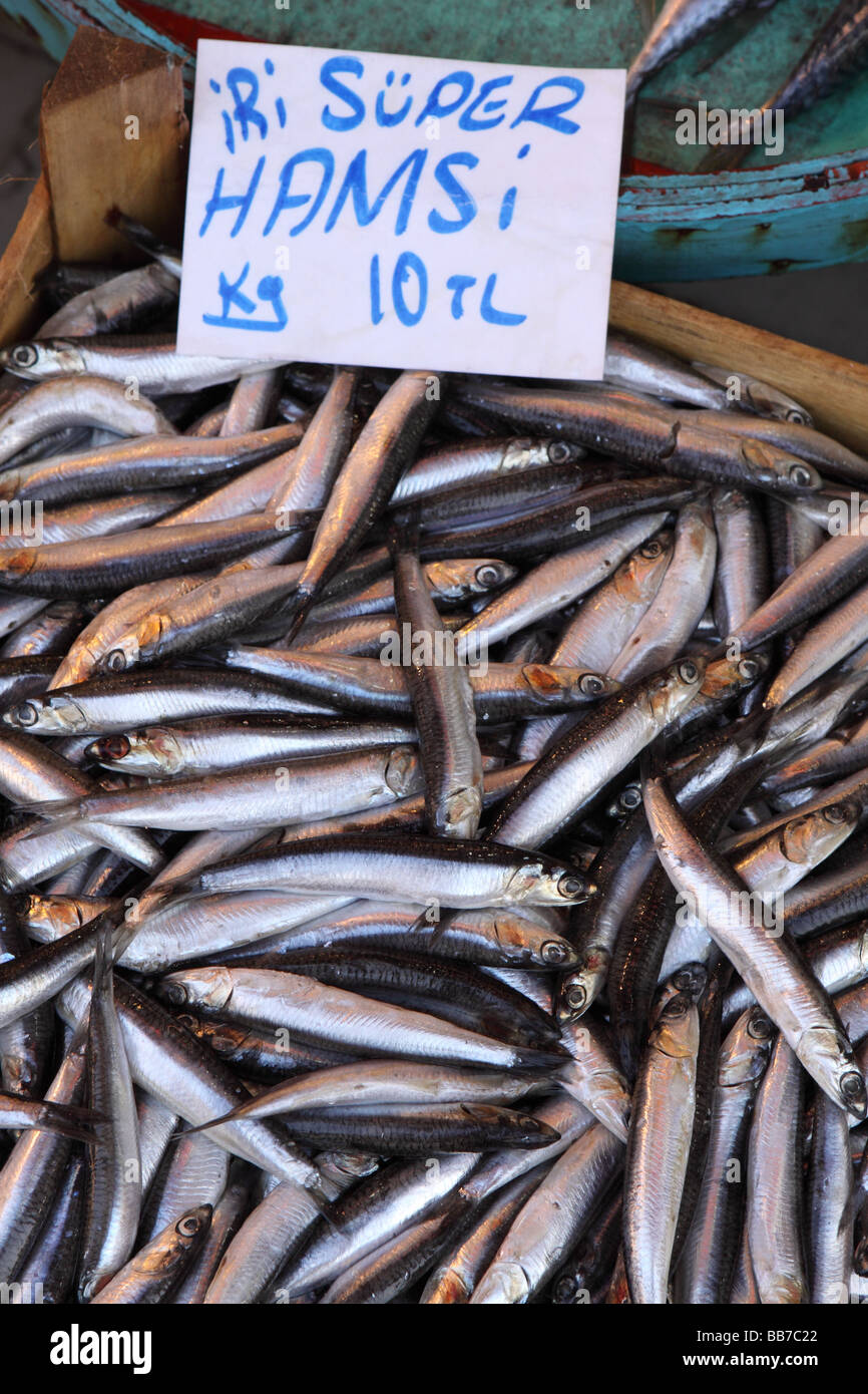 Turkey fish hi-res stock photography and images - Alamy