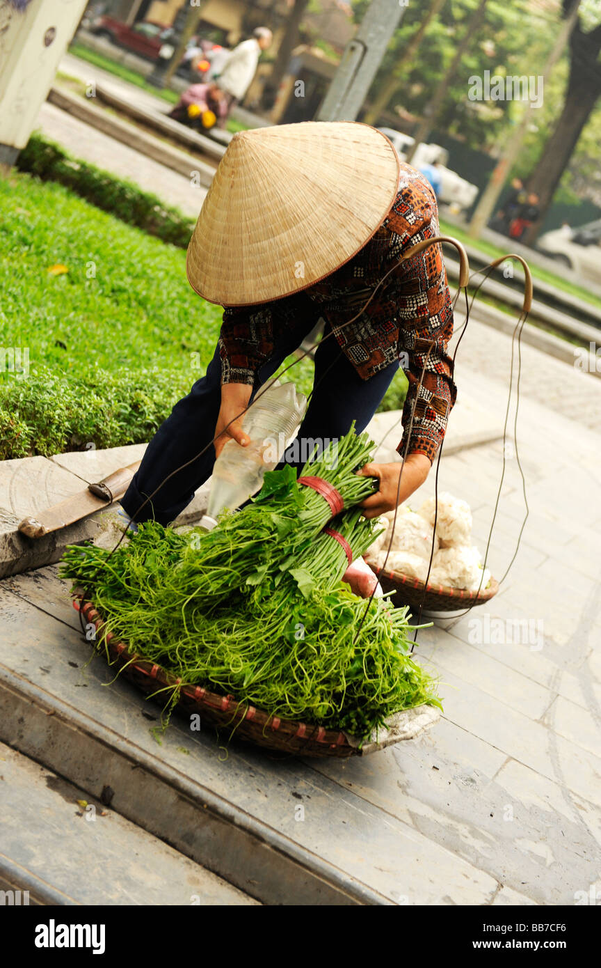 vietnamese lady wearing cone hat watering her vegetables in the basket ...
